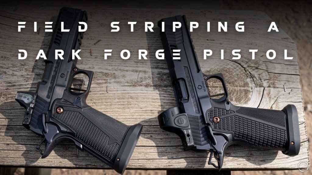 Dark Forge – a shadowed genesis